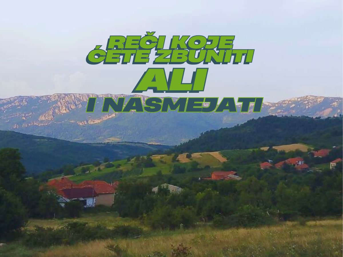 Torlački za početnike - Naučite izraze pre posete našem kraju - Slemen.rs